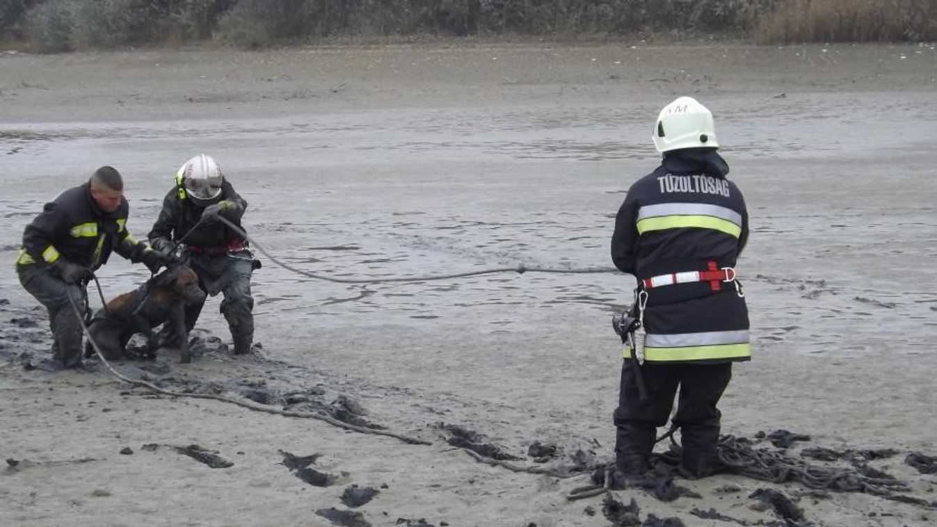 Mozdulni sem bírt a kutya, egy bányató iszapjában merült el – így ...