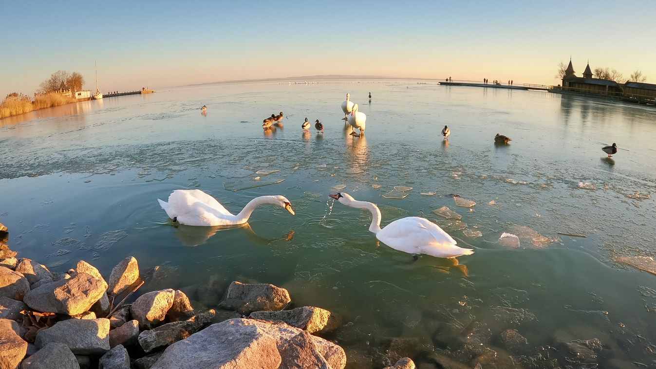 Hattyúk tava télen-nyáron