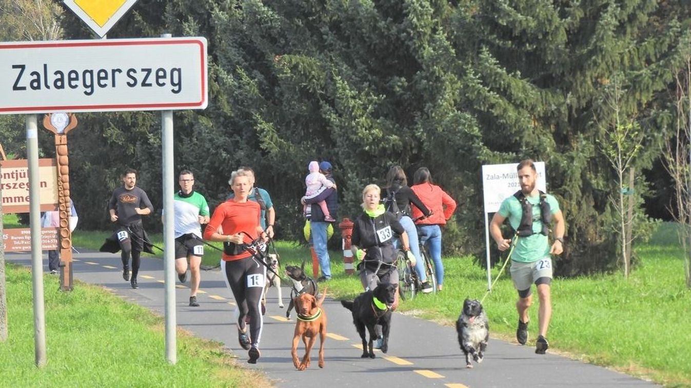 Kutyás terepfutás Zalaegerszegen
