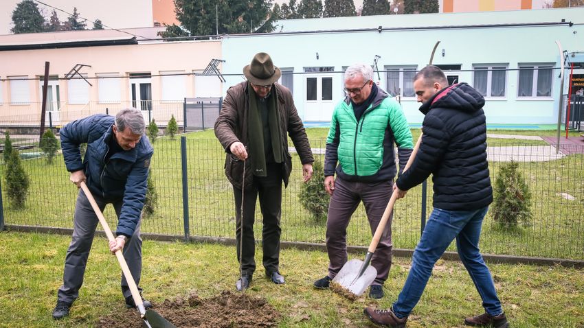 ZAOL - Facsemetéket ültettek a kanizsai bölcsőde udvarára
