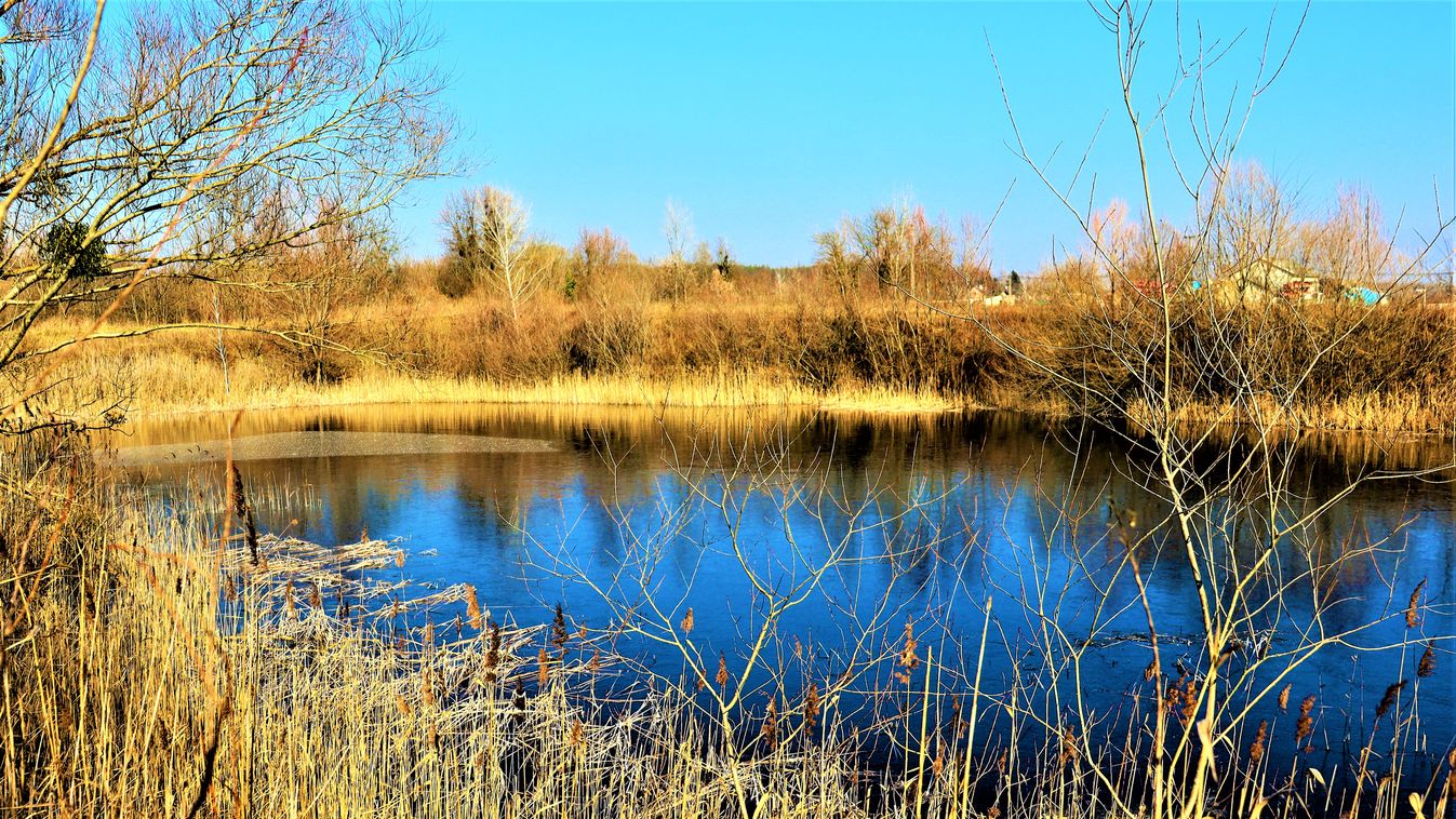 ZAOL - Egerszeg befagyott tavainál (galéria)
