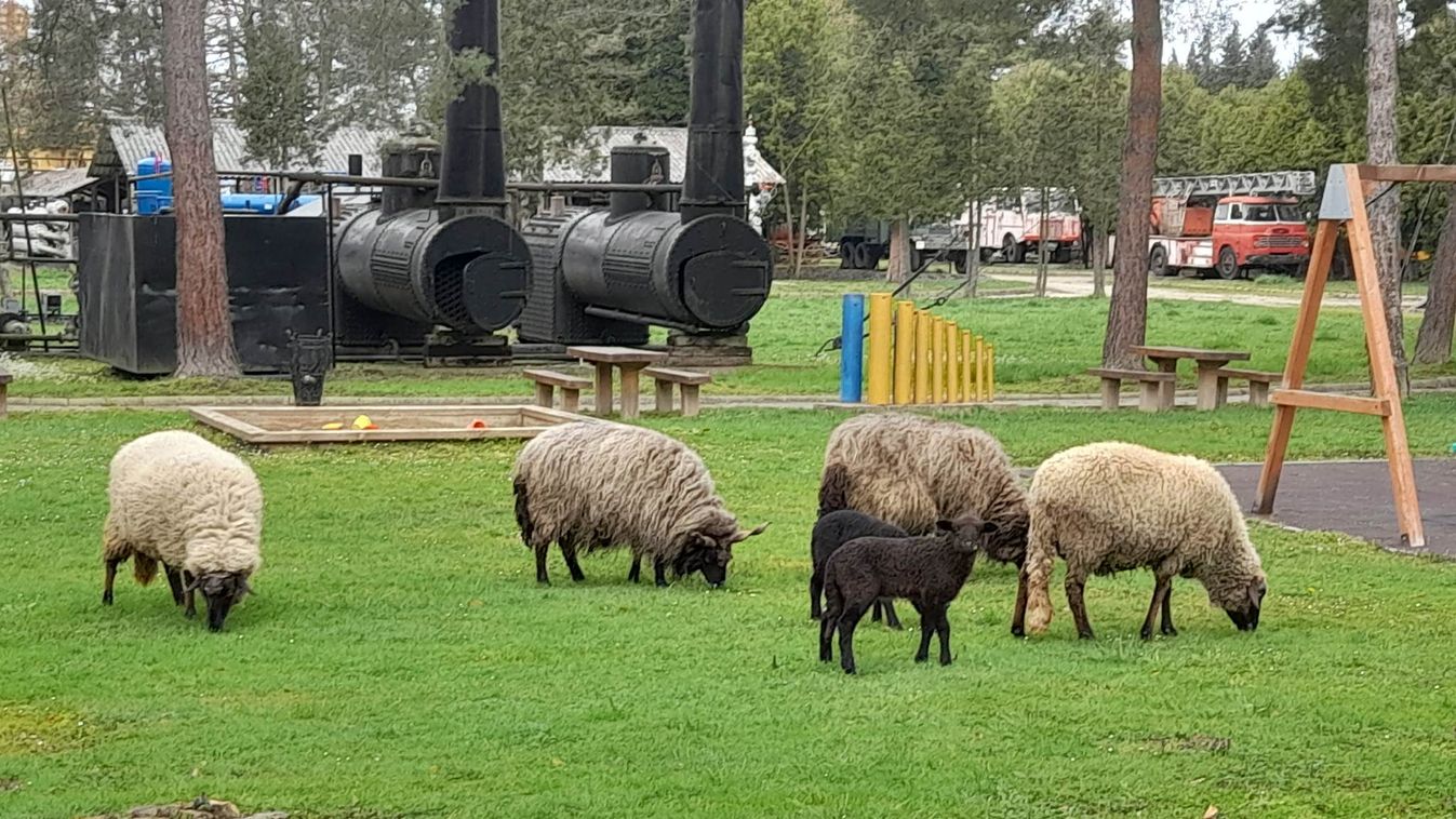 Szombaton a MOGIM is várja a látogatókat