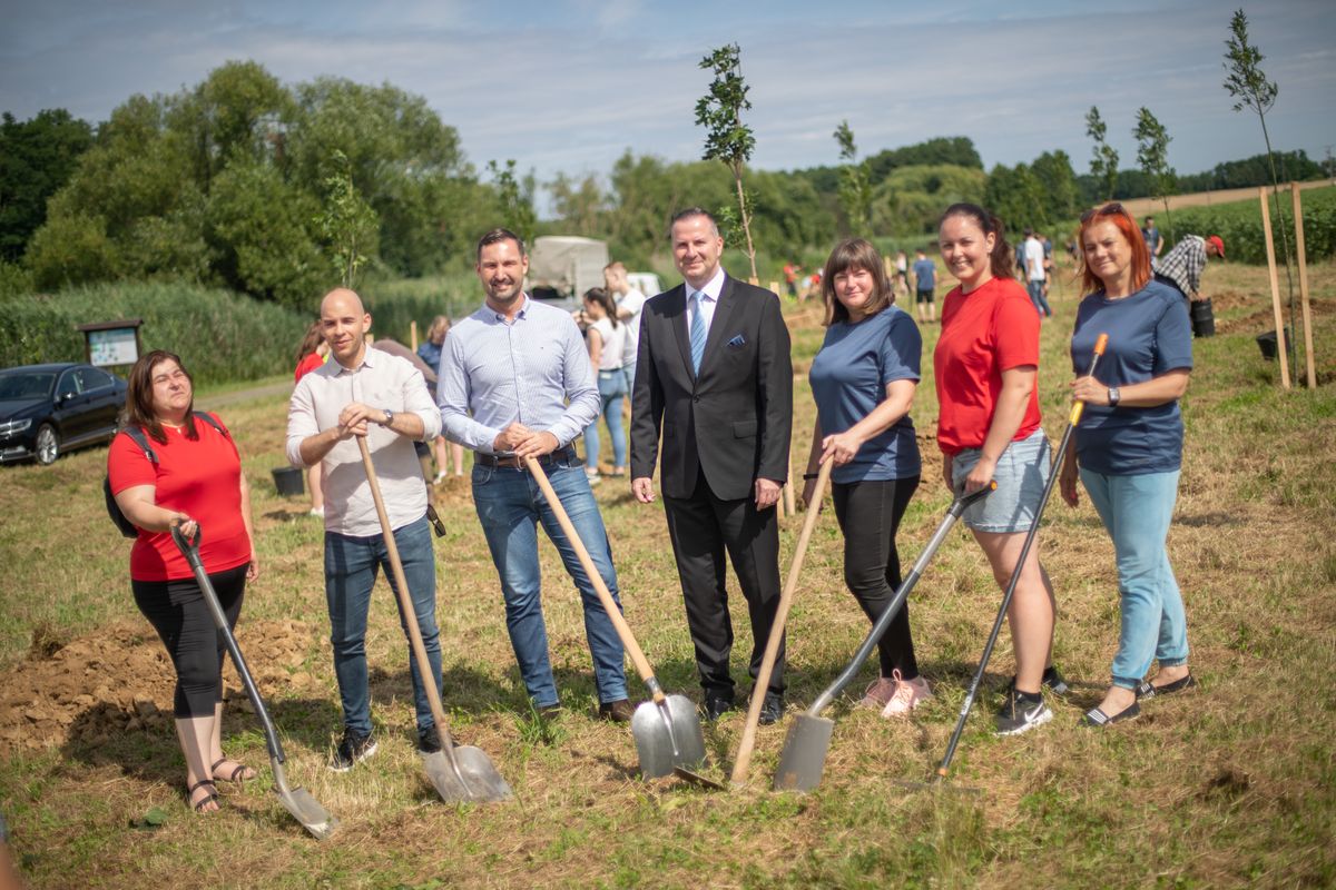 ZAOL - Fákat ültettek az összetartozás jegyében Zalaegerszegen