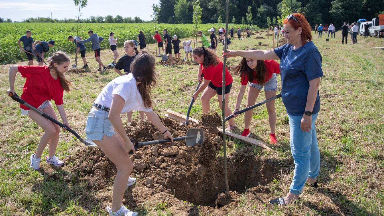 ZAOL - Fákat ültettek az összetartozás jegyében Zalaegerszegen