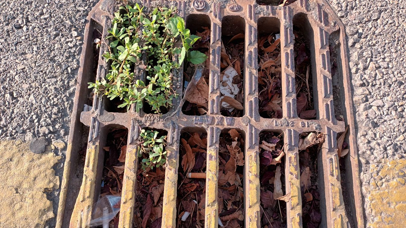 Eltömődött esővízelvezető csatornák Nagykanizsán