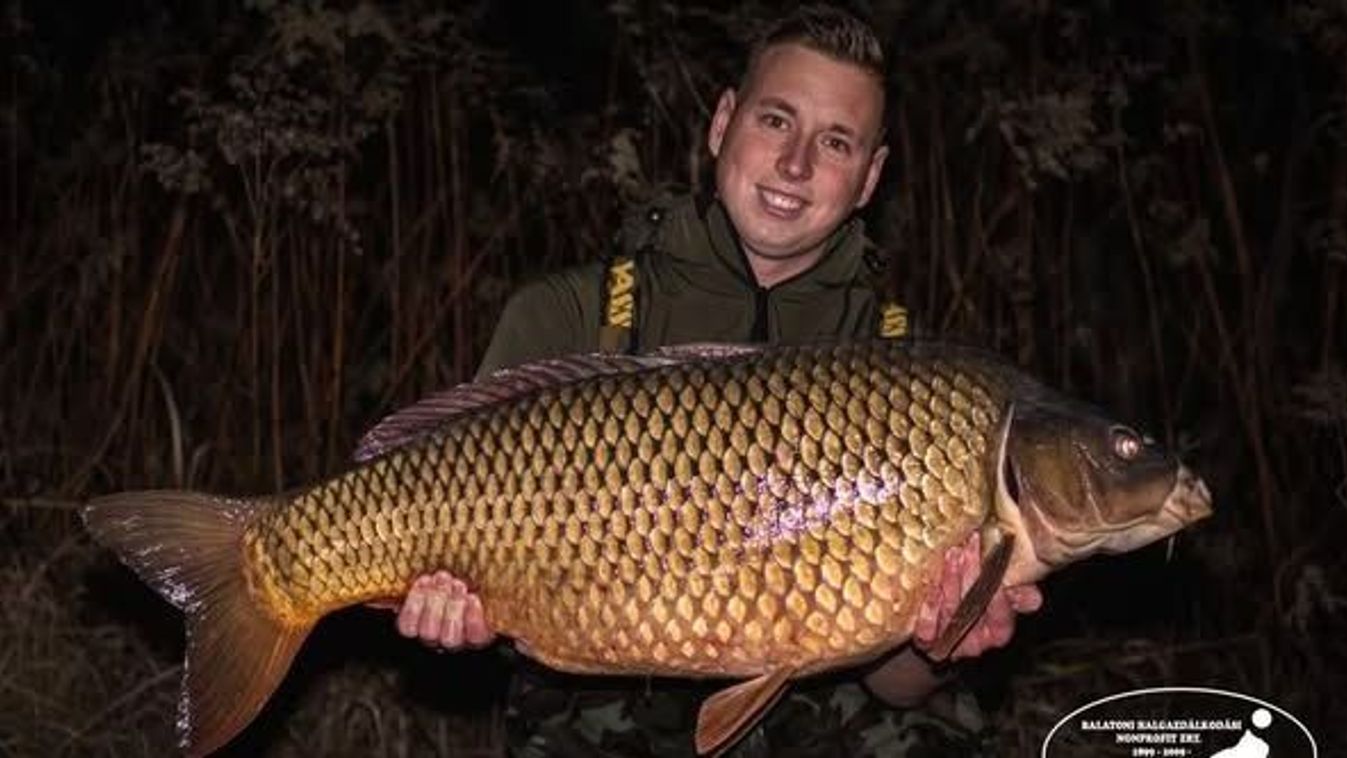 20 kg feletti pontyot fogott ki a Balatonból a fiatal horgász (videó)