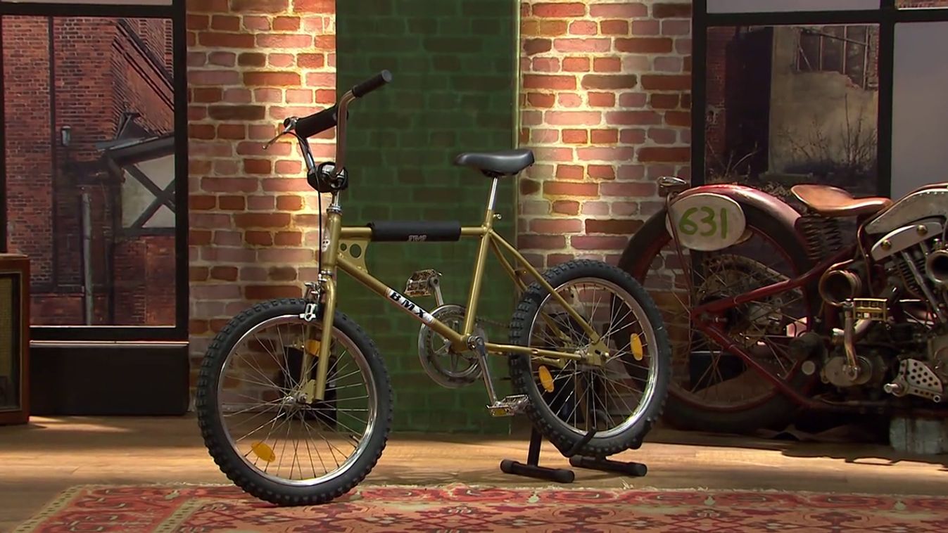 Kincsvadászok: gyerekkori álmát adta el a zalai férfi