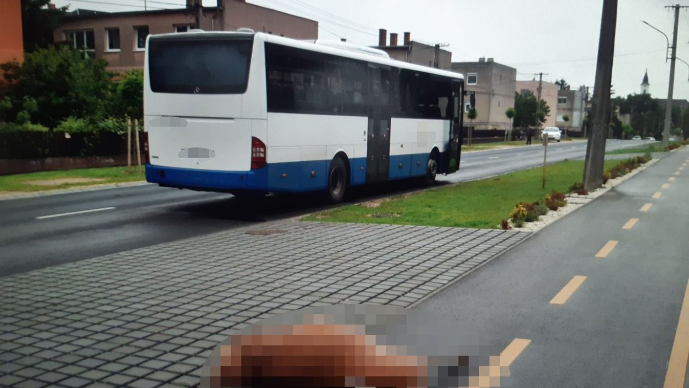 Ilyen tényleg megtörténhet? Szarvas rohant busz elé a dunántúli város kellős közepén, a ...