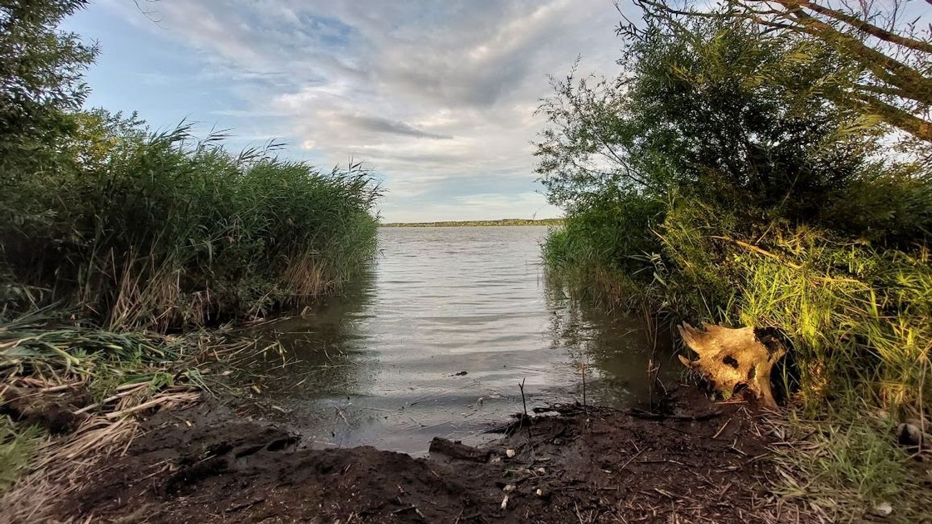 Rajzpályázat jelent meg a 40 éves Kis-Balatonhoz és a 25 éves Kis-Balaton Házhoz kötődően.