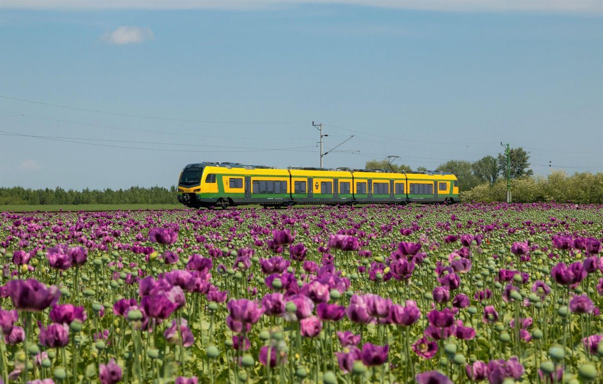 GYSEV: 752 kilométernyi vasúti pálya üzemeltetését vette át a társaság