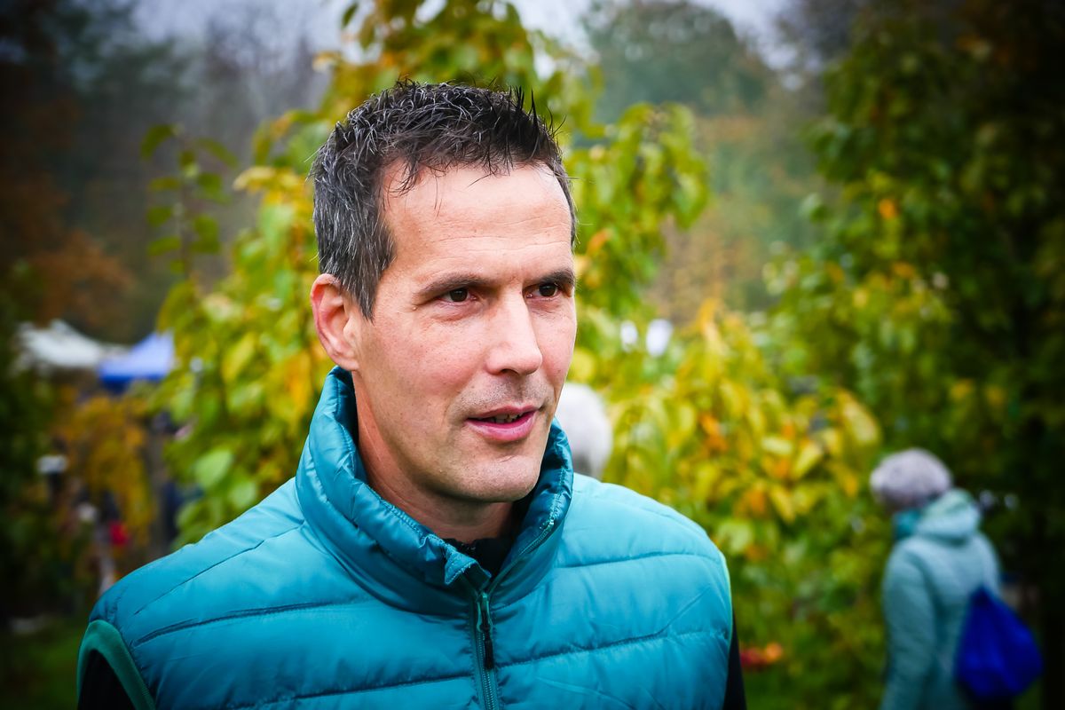 Szedd magad: már sárgul a datolyaszilva